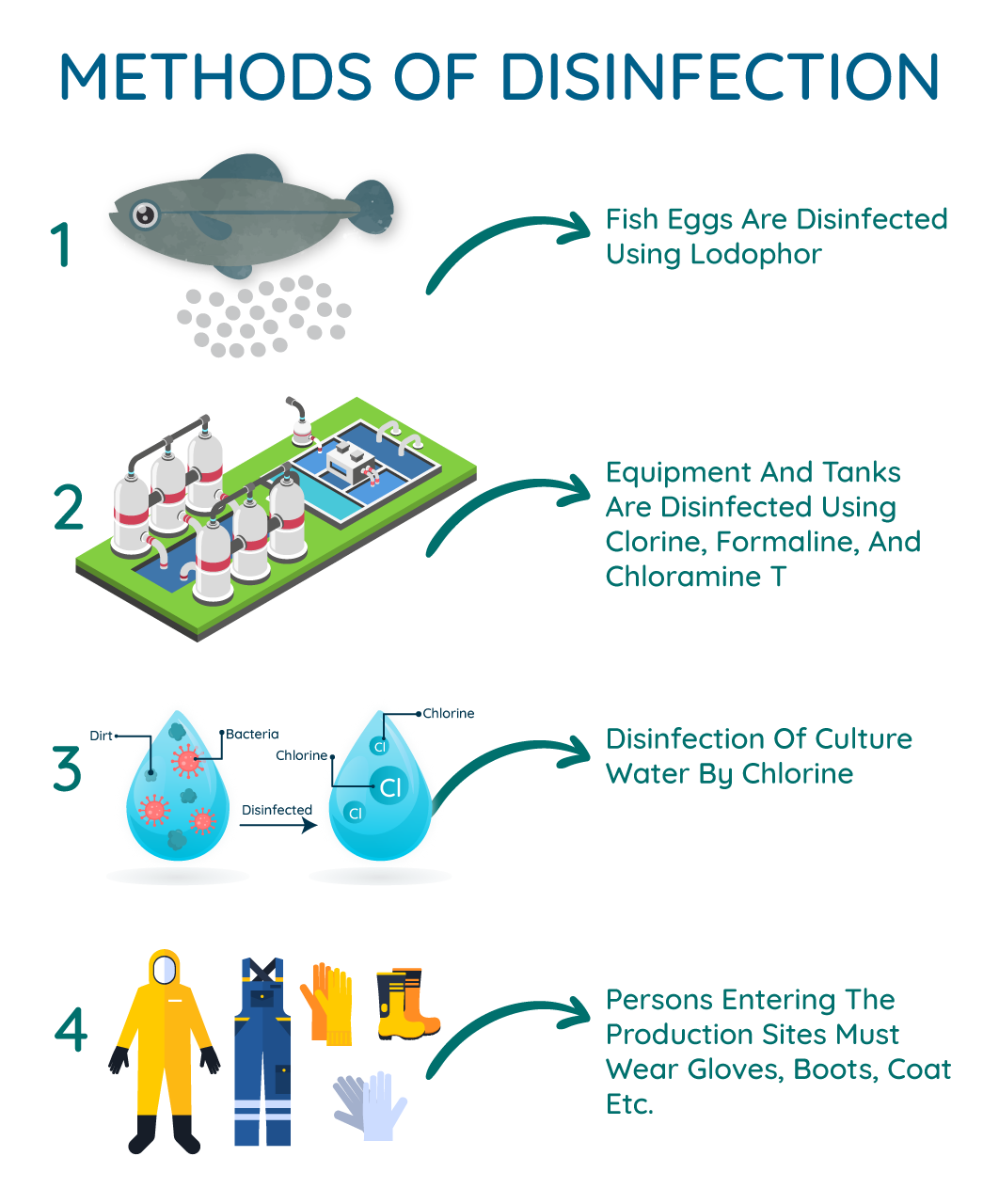 Disinfection Methods in Aquaculture – Budmore
